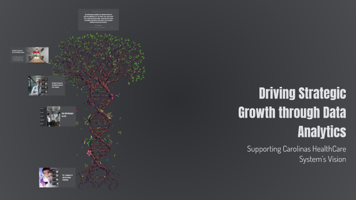 Driving Strategic Growth through Data Analytics by Diego Felipe Salinas ...