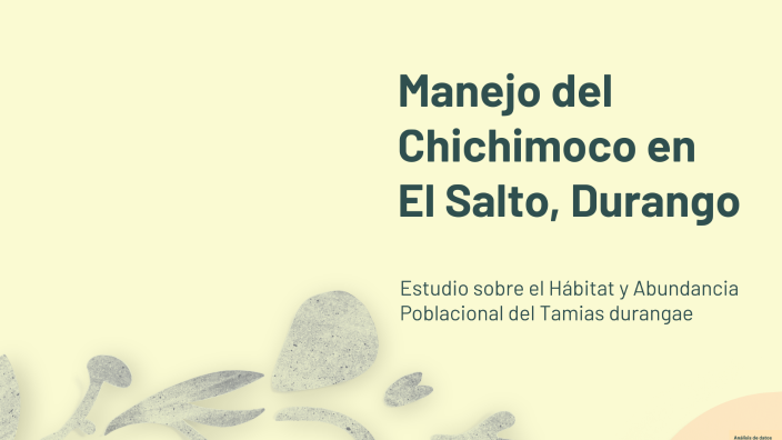 Manejo del Chichimoco en El Salto, Durango by juan abel najera on Prezi