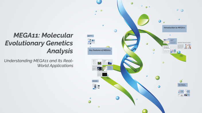MEGA11: Molecular Evolutionary Genetics Analysis by Shashwath EP on Prezi