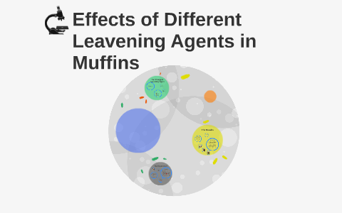 Effects of Leavening Agents in Muffins by Jordan Phillpott on Prezi