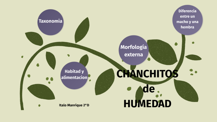 INFOGRAFÍA-"BICHOS BOLA o CHANCHITO DE LA HUMEDAD" by Italo Said ...