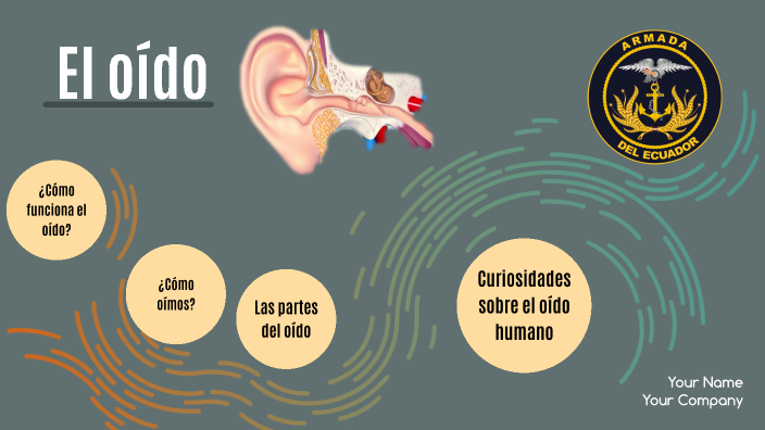 El oído by Carlos Alberto Detken on Prezi