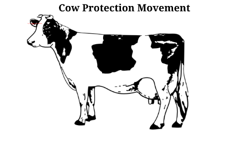 The Cow Protection Movement by hind mubarak on Prezi