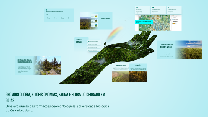 Geomorfologia, Fitofisionomias, Fauna e Flora do Cerrado em Goiás by ...