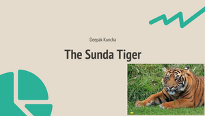 Sunda Tiger by Deepak Kuncha on Prezi Design