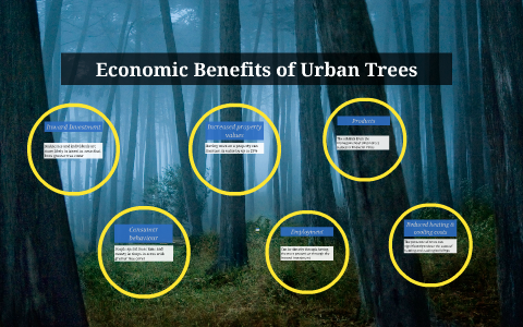 Economic Benefits of Urban Trees by Dave Gardner on Prezi
