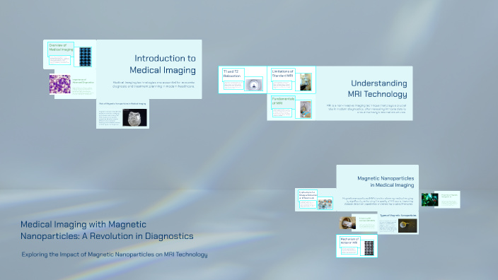 Medical Imaging with Magnetic Nanoparticles: A Revolution in ...