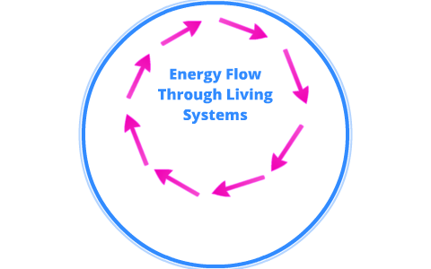 Energy Flow Through Living Systems by Serin Showers on Prezi
