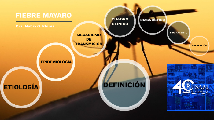 Fiebre Mayaro by Kriss Flores on Prezi
