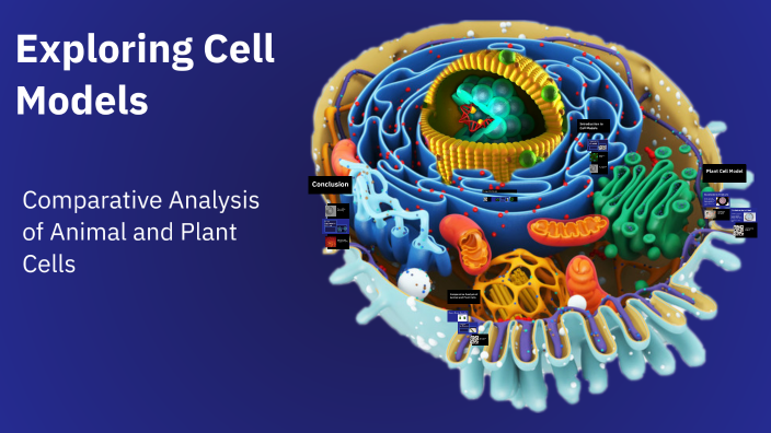 Exploring Cell Models by seif ali on Prezi