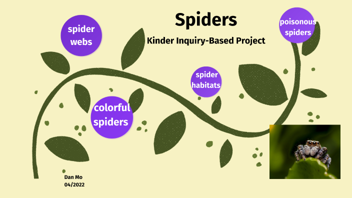 Spider Inquiry-Based Project by Dan Mo on Prezi
