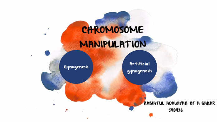 Gynogenesis process by rabiatul adawiyah on Prezi