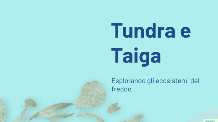 Tundra e Taiga by jennifer la barbera on Prezi