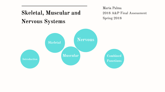 The Skeletal, Muscular, and Nervous Systems and Their Combined ...