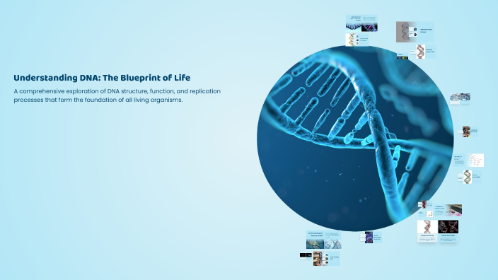 Understanding DNA: The Blueprint of Life by on Prezi