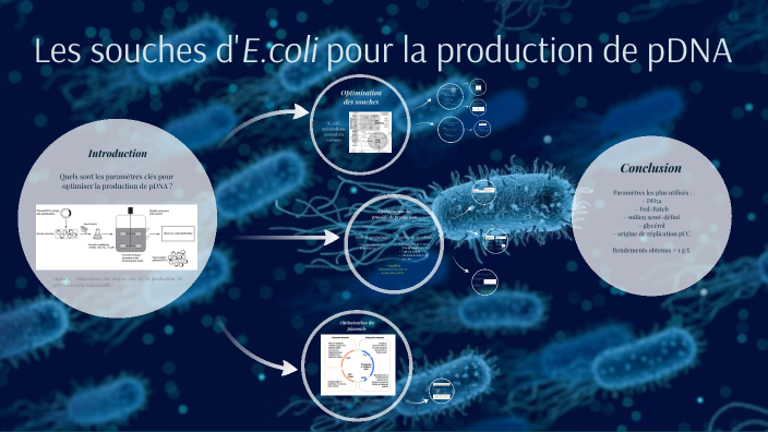 Optimisation de la production de pDNA by Candice Morin on Prezi