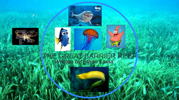 THE GREAT BARRIER REEF by Ethan Lavia on Prezi