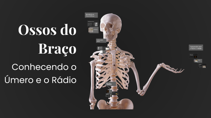 Ossos Do Braço By Kleber On Prezi