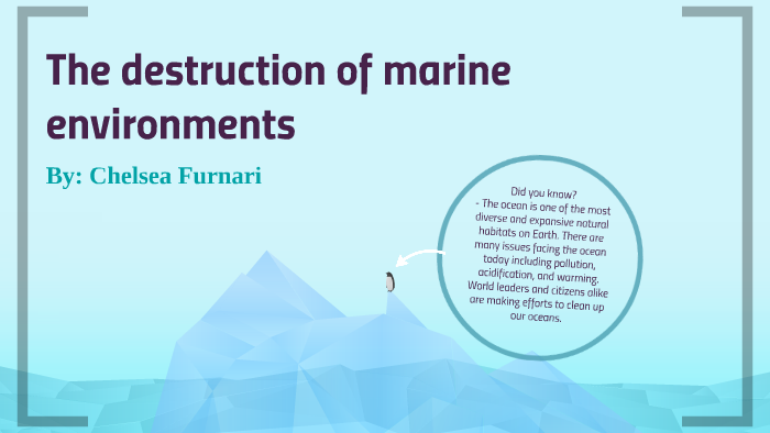 The Destruction of today's oceans by Chelsea Furnari on Prezi
