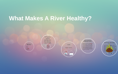 What Makes A River Healthy? by Anasia Turner on Prezi
