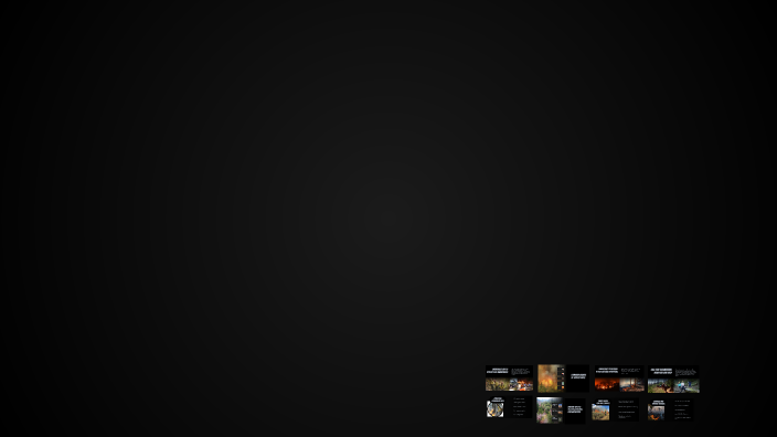 Forest Fire Prevention and Community Involvement by Mindaugas ...