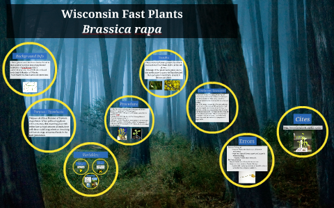 Wisconsin Fast Plants by on Prezi