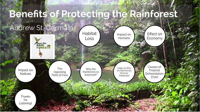 Rainforest Presentation by Andrew St. Germain St. Germain on Prezi