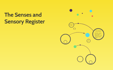 Senses and Sensory Register by ashley joseph on Prezi