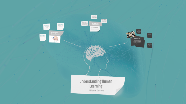 Human Learning Process by Allison Kupiec on Prezi