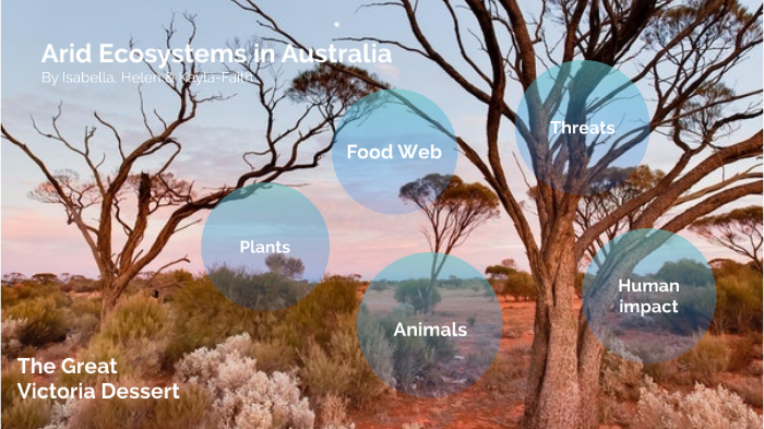 Arid Ecosystem by isabella kleckin on Prezi