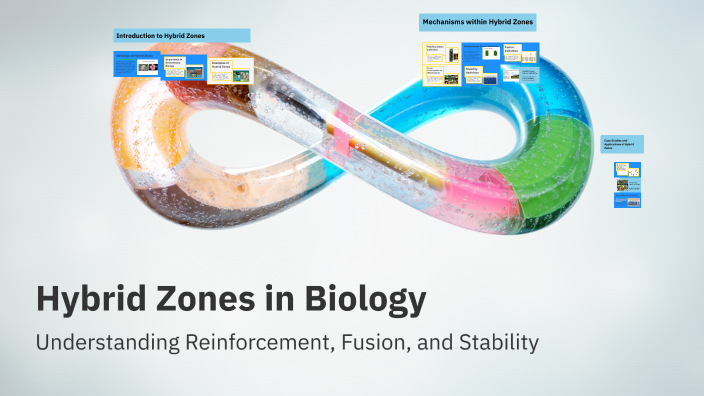 Hybrid Zones in Biology by Danielle Goldberg on Prezi