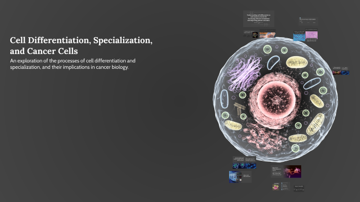 Cell Differentiation, Specialization, and Cancer Cells by Arjelyn Arce ...
