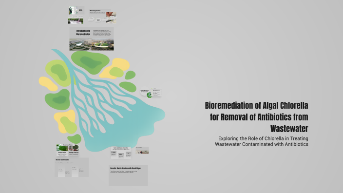 Bioremediation of Algal Chlorella for Removal of Antibiotics from ...