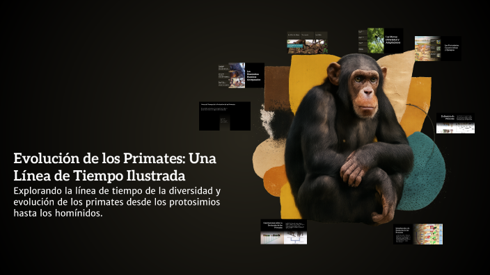 Evolución de los Primates: Una Línea de Tiempo Ilustrada by Cristina ...