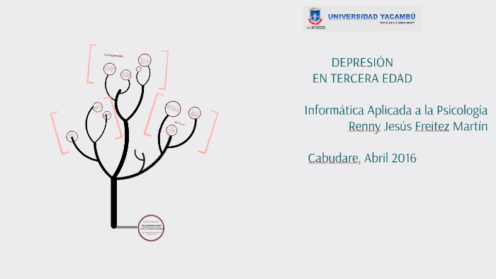 DEPRESIÓN EN LA TERCERA EDAD by Renny Jesus Freitez Martin