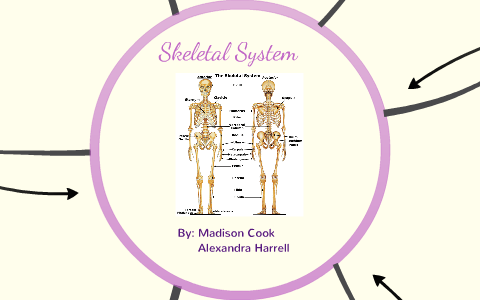 Skeletal System by Alexandra Harrell on Prezi