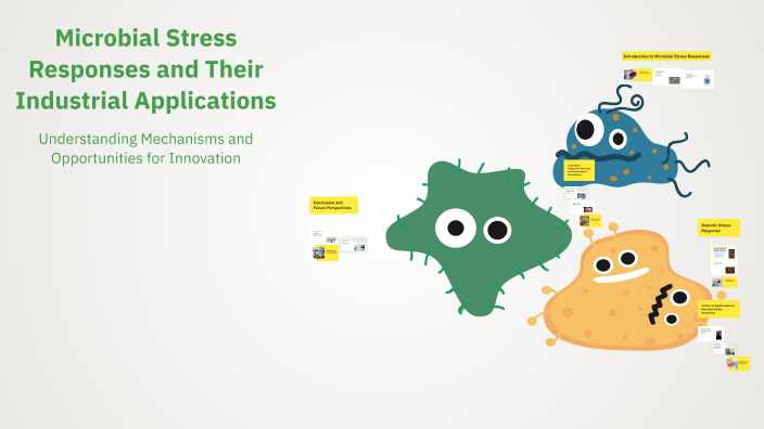 Microbial Stress Responses and Their Industrial Applications by Beyhan ...