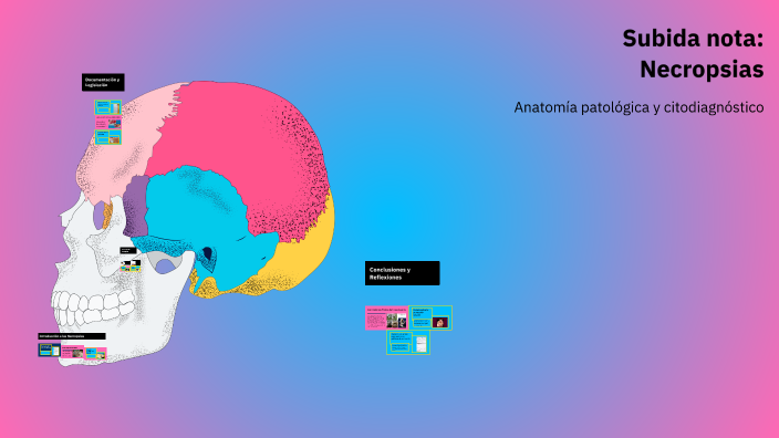 Subida nota: Necropsias by Andrea Loro Ontañón on Prezi