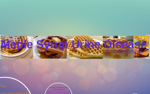 Maple Syrup Urine Disease by Haley Payne