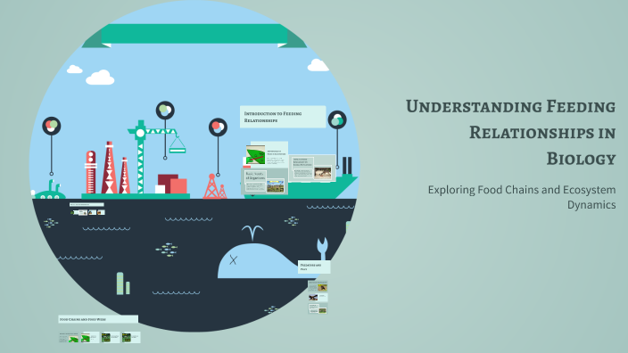 Understanding Feeding Relationships in Biology by anza ahmed on Prezi