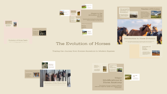 Horse Evolution Timeline