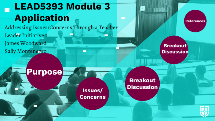 LEAD5393 Module 3 Application by Sally Montenegro on Prezi