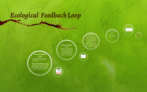 Ecological Feedback Loop by Jennifer Esqueda on Prezi