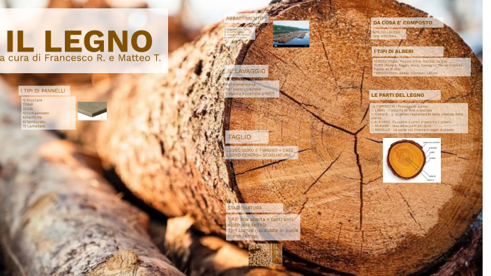 IL LEGNO by Francesco Ranalli on Prezi