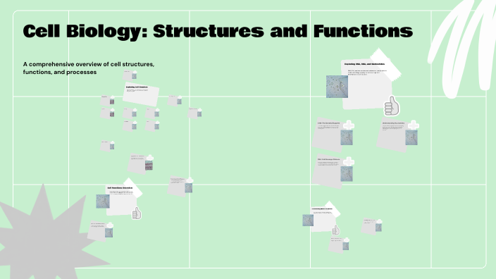 Cell Biology: Functions and Structures by Swanandi Nichkawade on Prezi