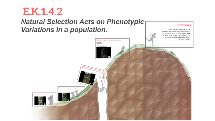 AP Bio Final Project by Meghana Medini on Prezi