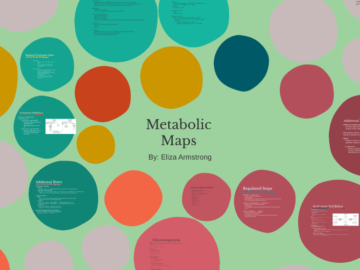Metabolic Maps by Eliza Armstrong on Prezi
