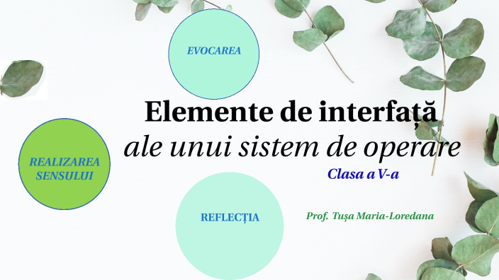 TUSA_MARIA_ Elemente de interfata ale unui sistem de operare by Tusa ...