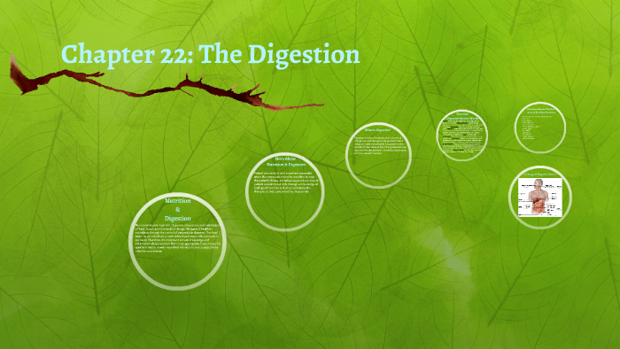 Ch. 22 Digestive System by April Ray on Prezi