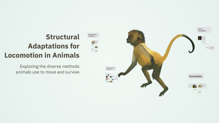Structural Adaptations for Locomotion in Animals by omer masoud on Prezi